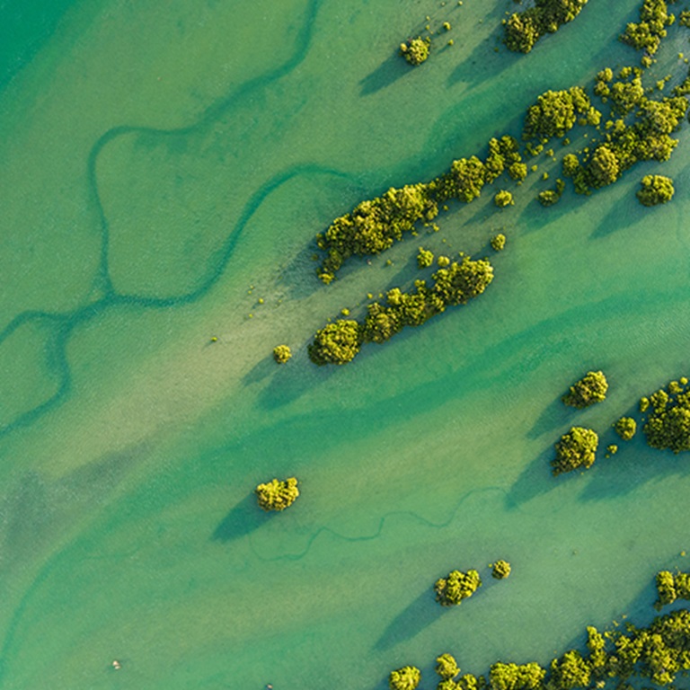 European cyber claims report | Marsh